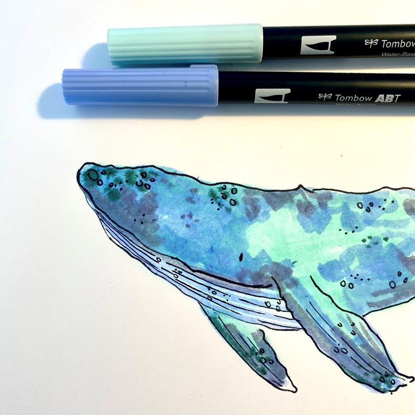 How to draw a Whale with Becca Hall Illustration – Tombow UK