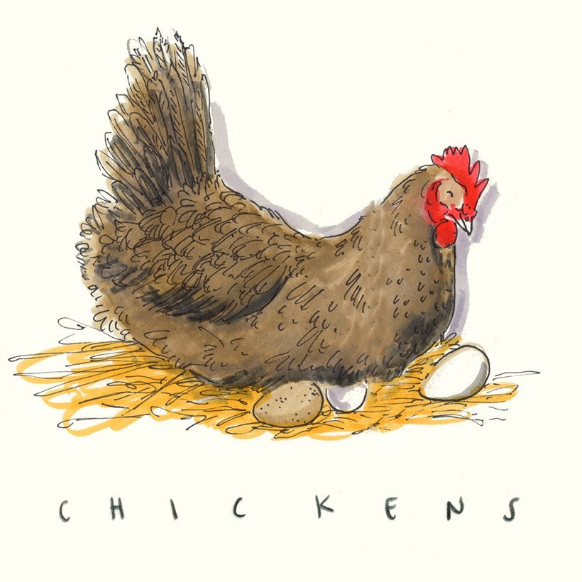 Chickens Drawing Workshop with Becca Hall Illustration – Tombow UK